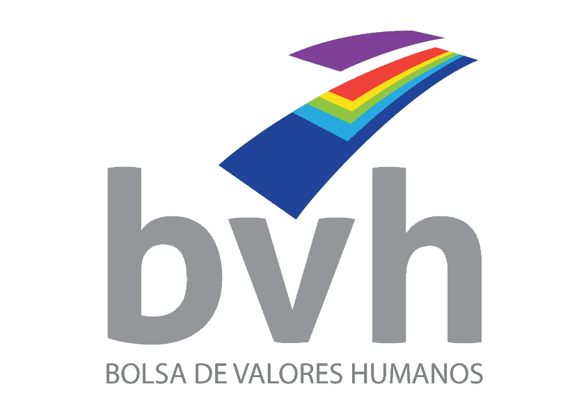BVH - Logo l Agência Digital e Multiplataforma l Zero11